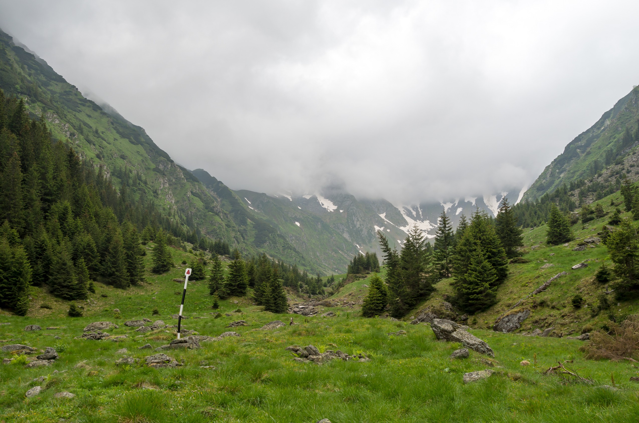 Hauteurs | En haut des Carpates